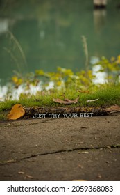 668 Try your best Images, Stock Photos & Vectors | Shutterstock
