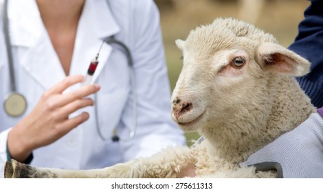 17,093 Animal Injection Images, Stock Photos & Vectors | Shutterstock