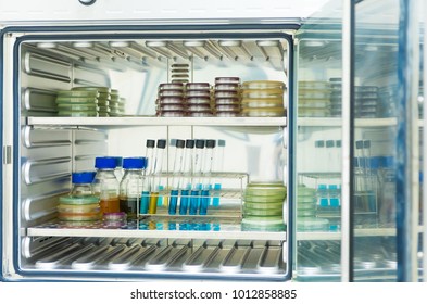 2,254 Microbiological incubators Images, Stock Photos & Vectors ...