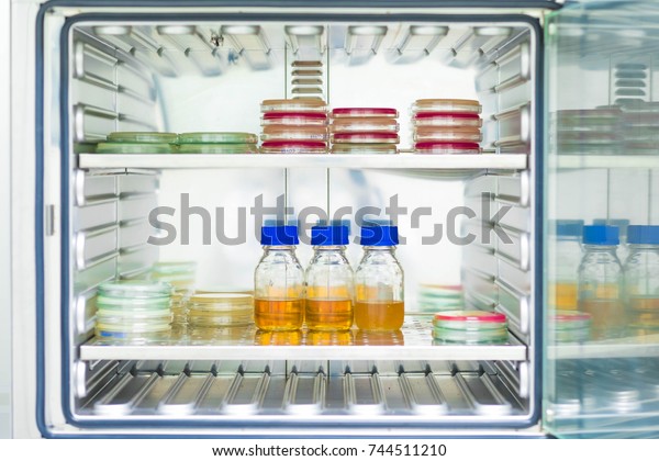 Agar Medium Broth Microbial Test Incubate Stock Photo (Edit Now) 744511210