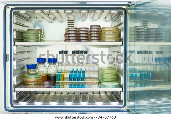 Agar Medium Broth Microbial Test Incubate Stock Photo 794757760 ...