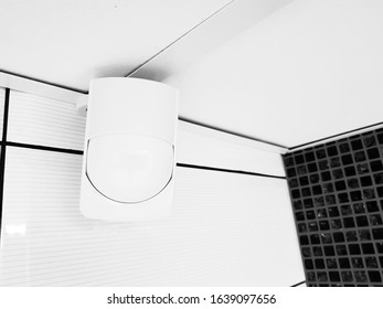 Alarm Ceiling Mounted Sensor Stock Photo 1639097656 | Shutterstock