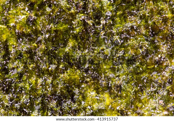 Algae Background Texture stockfoto (nu bewerken) 413915737