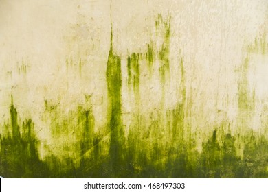 6,712 Green algae wall Stock Photos, Images & Photography | Shutterstock