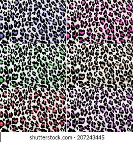 All Colors Leopard Pattern Collage Eight Stock Photo 207243445 ...