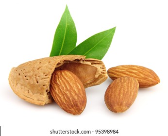 Feuille amande : 66 514 photos et images de stock | Shutterstock