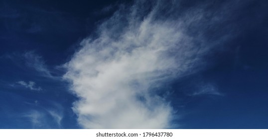 374 Crazily Images, Stock Photos & Vectors | Shutterstock