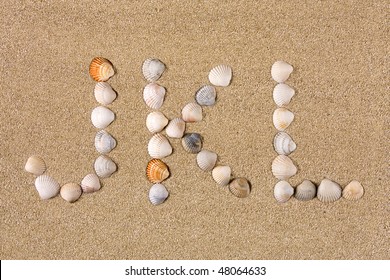 Alphabet Shell Stock Photo 48064630 | Shutterstock