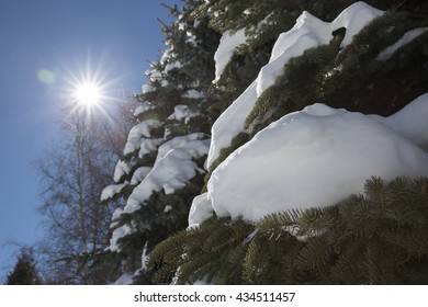 235 Patchy Snow Images, Stock Photos & Vectors | Shutterstock