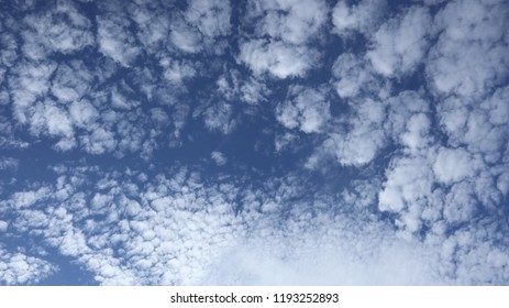Altocumulus Cloud Sky Stock Photo 1193252893 | Shutterstock