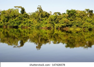 Amazon River Peru Stock Photo (Edit Now) 147428378
