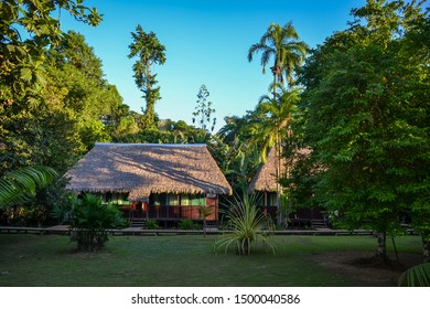 Amazonia Lodge Set Deep Amazon Rainforest Stock Photo (Edit Now) 1500040586