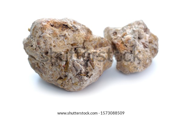 Ambergris Ambre Gris Ambergrease Grey Amber Stock Photo 1573088509 ...