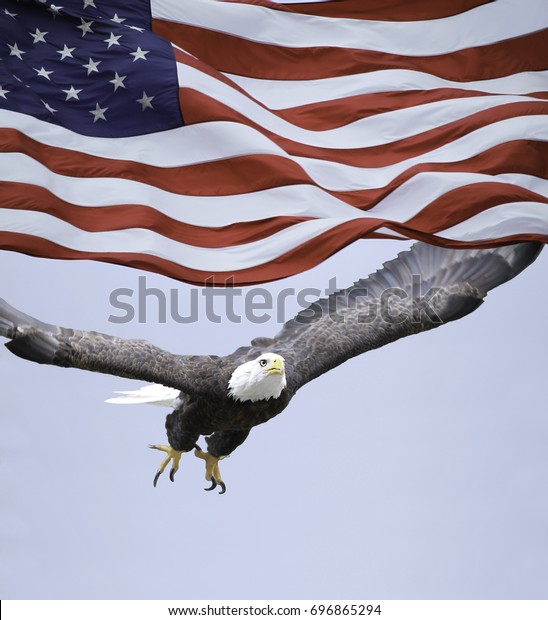 American Eagle Flying American Flag Stock Photo 696865294 | Shutterstock