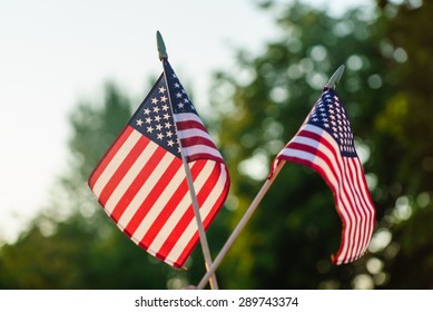 Group American Flags Row Along Side Stock Photo (Edit Now) 1132920212