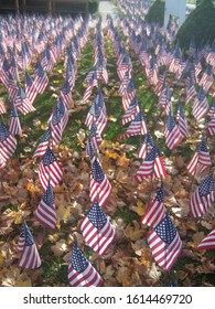 American Flags Field Flags Stock Photo 1614469720 | Shutterstock