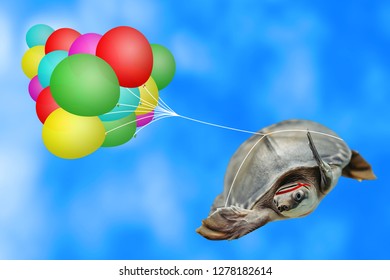 2,108 Flying turtle Images, Stock Photos & Vectors | Shutterstock