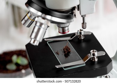 Analysis Soil Samples Under Microscope Stock Photo (Edit Now) 579445237