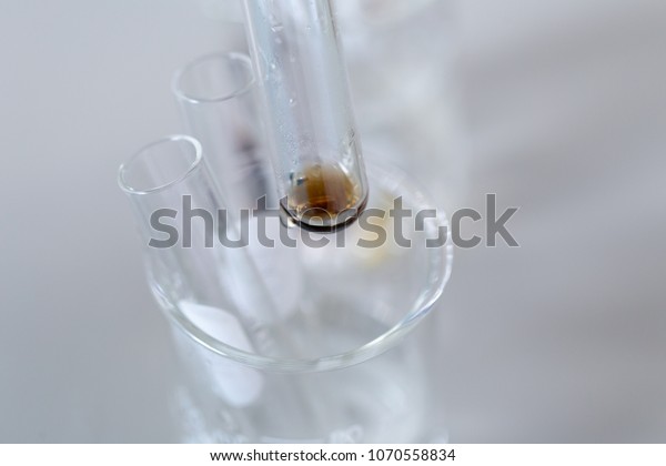 Analysis Starch Study Chemical Composition Laboratory Stock Photo (Edit ...