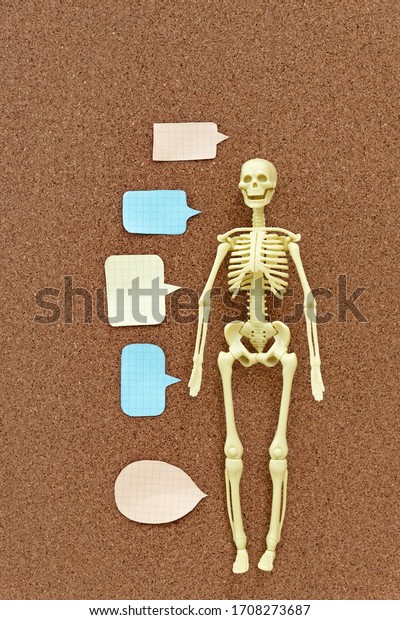 Anatomical Plastic Model Human Skeleton On Stock Photo 1708273687 ...