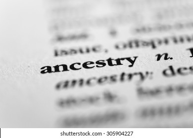 878 Pedigree Ancestry Images, Stock Photos & Vectors | Shutterstock