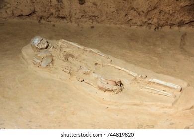 Ancient Human Skeleton Stock Photo 744819820 | Shutterstock