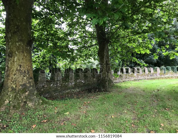 Ancient Wall Medieval Field Trees Grass Stock Photo 1156819084 ...