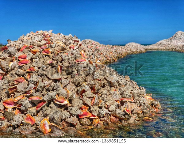 Anegada Conch Shell Mounds Stock Photo 1369851155 | Shutterstock