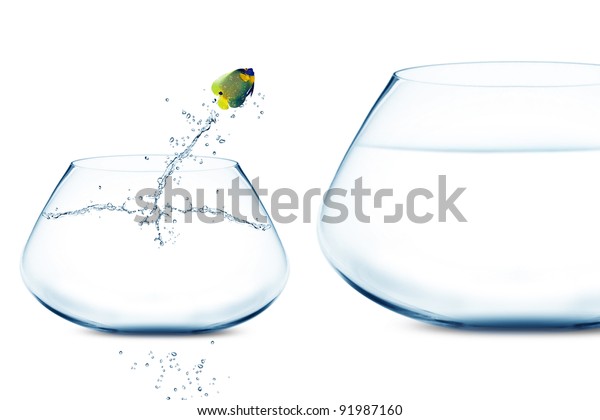 Angle Fish Jumping Into Bigger Fishbowl Stock Photo 91987160 | Shutterstock