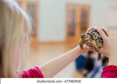 54,904 Pet turtles Images, Stock Photos & Vectors | Shutterstock