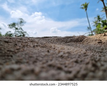 Ant Perspective Images – HD & 4K Photos Free to Download | PikWizard