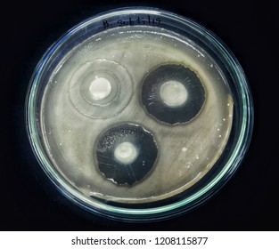1 Antimicrobial Effect Toothpaste Images, Stock Photos & Vectors ...