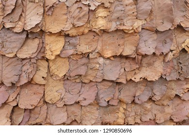 124 Red Antimony Images, Stock Photos & Vectors | Shutterstock
