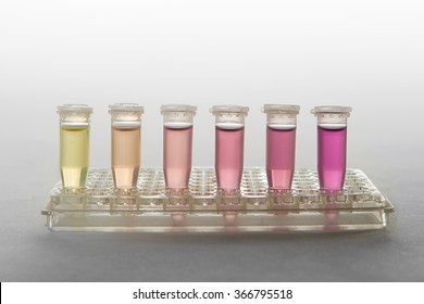 Antioxidant Activity Dpph Method Stock Photo 366795518 | Shutterstock
