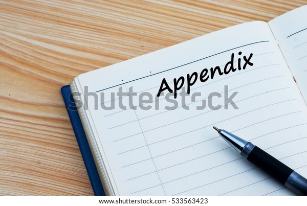 Appendix Text Written On Diary Stock Photo 533563423 | Shutterstock