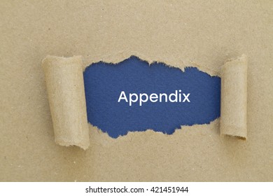 Appendix Word Written Under Torn Paper Stock Photo 421451944 | Shutterstock