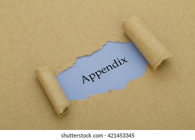 Appendix Word Written Under Torn Paper Stock Photo 421453345 | Shutterstock