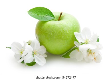 281,634 Green apple flower Images, Stock Photos & Vectors | Shutterstock
