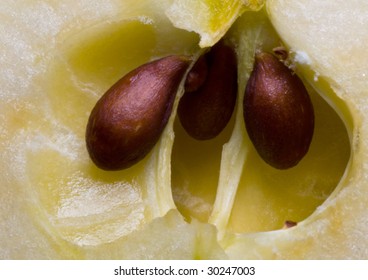 Apple Pips Images, Stock Photos & Vectors | Shutterstock