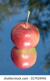 Apple Reflection Stock Photo 317924945 | Shutterstock