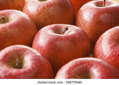 41,023 Japan apple Images, Stock Photos & Vectors | Shutterstock
