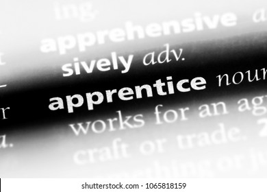 Apprentice Word Dictionary Apprentice Concept Stock Photo 1065818159 ...