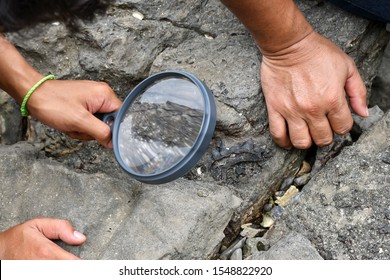 Archaeologists Using Tools Equipment Explore Fossils Stock Photo ...