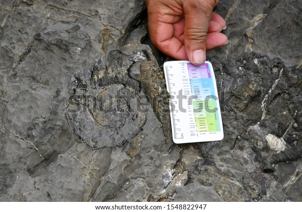 Archaeologists Using Tools Equipment Explore Fossils Stock Photo ...