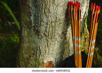 2,222 Archery on tree Images, Stock Photos & Vectors | Shutterstock