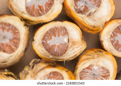 1,712 Dry areca nut Images, Stock Photos & Vectors | Shutterstock