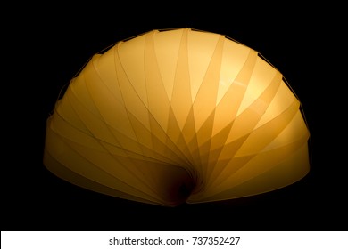 57 Sec Armadillo Images, Stock Photos & Vectors | Shutterstock