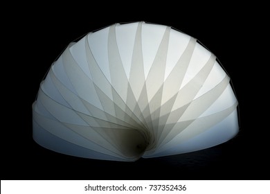 57 Sec Armadillo Images, Stock Photos & Vectors | Shutterstock