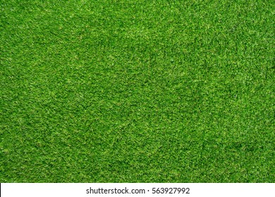 Green Grass Texture Stock Photo (Edit Now) 546708358 | Shutterstock
