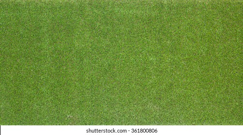 Green Grass Texture Stock Photo 386785516 | Shutterstock